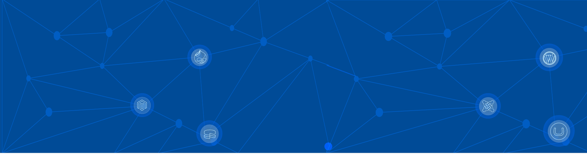 Best CMS development agency | Custom CMS Development Best CMS development agency | Custom CMS Development